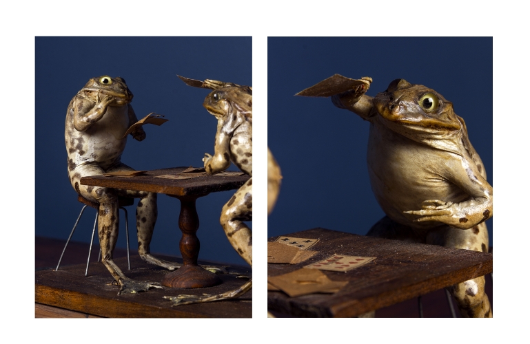 Cotinga Natural History Works of Art